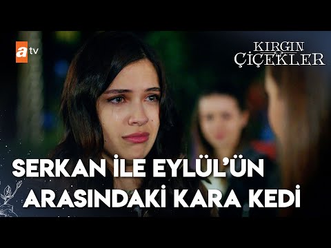 Zeyno amacına ulaştı | Kırgın Çiçekler 29. Bölüm