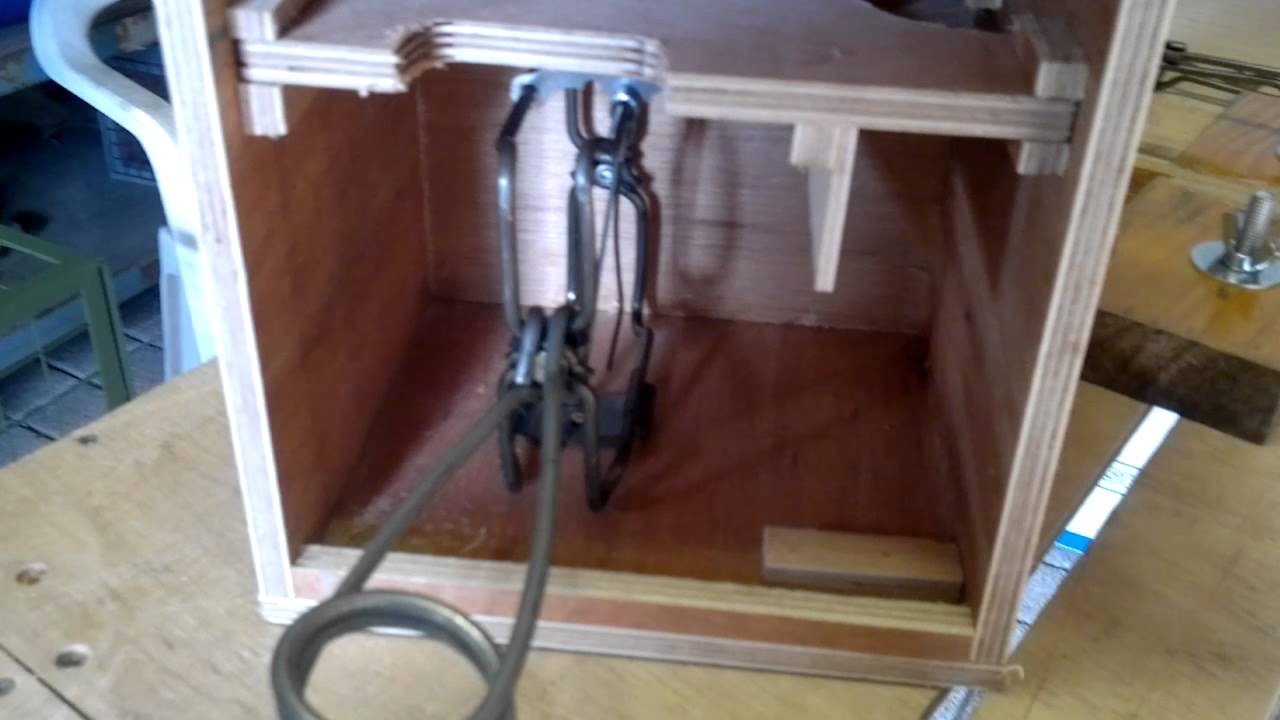 Bodygrip Bird Box - www.greysquirrelcontrol.co.uk - YouTube