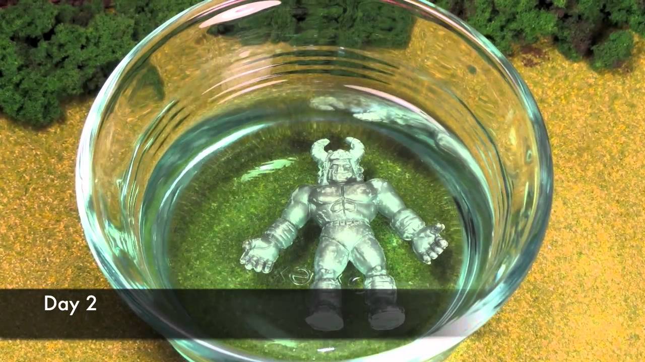 ENVS 200 - Simple Green & 409 to Clean a M.U.S.C.L.E. Figure: Silver ...