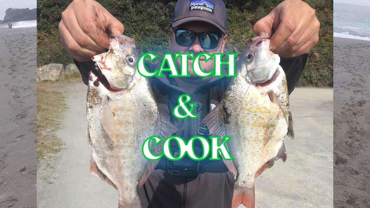 Big Redtail Perch Catch and Cook - Redwood fish - YouTube