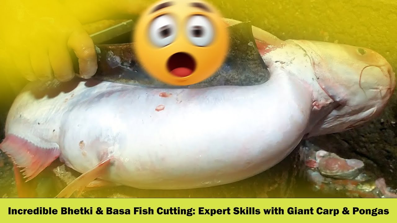 Incredible Bhetki & Basa Fish Cutting: Expert Skills with Giant Carp ...