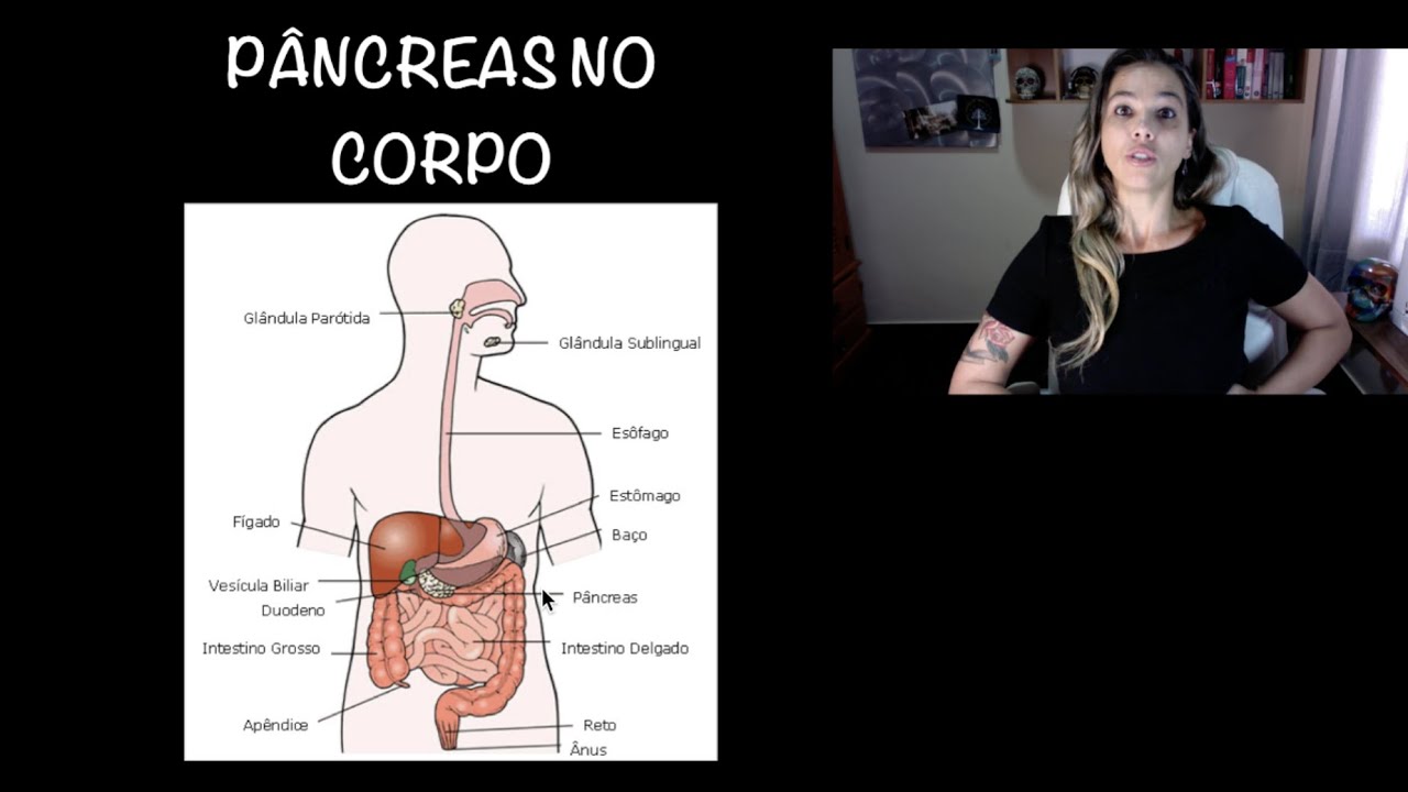 Anatomia do pâncreas - YouTube