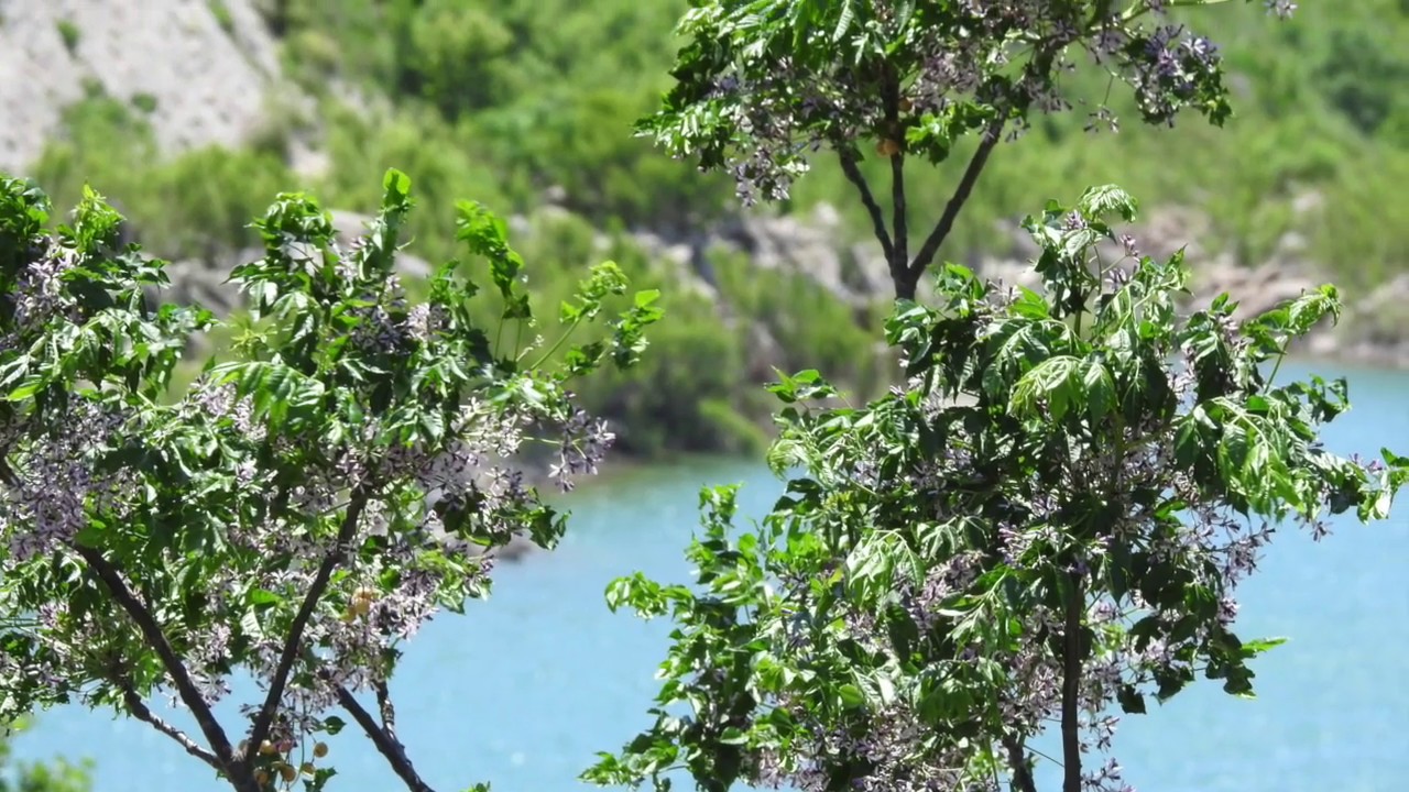 Bonnet Cemetery - YouTube