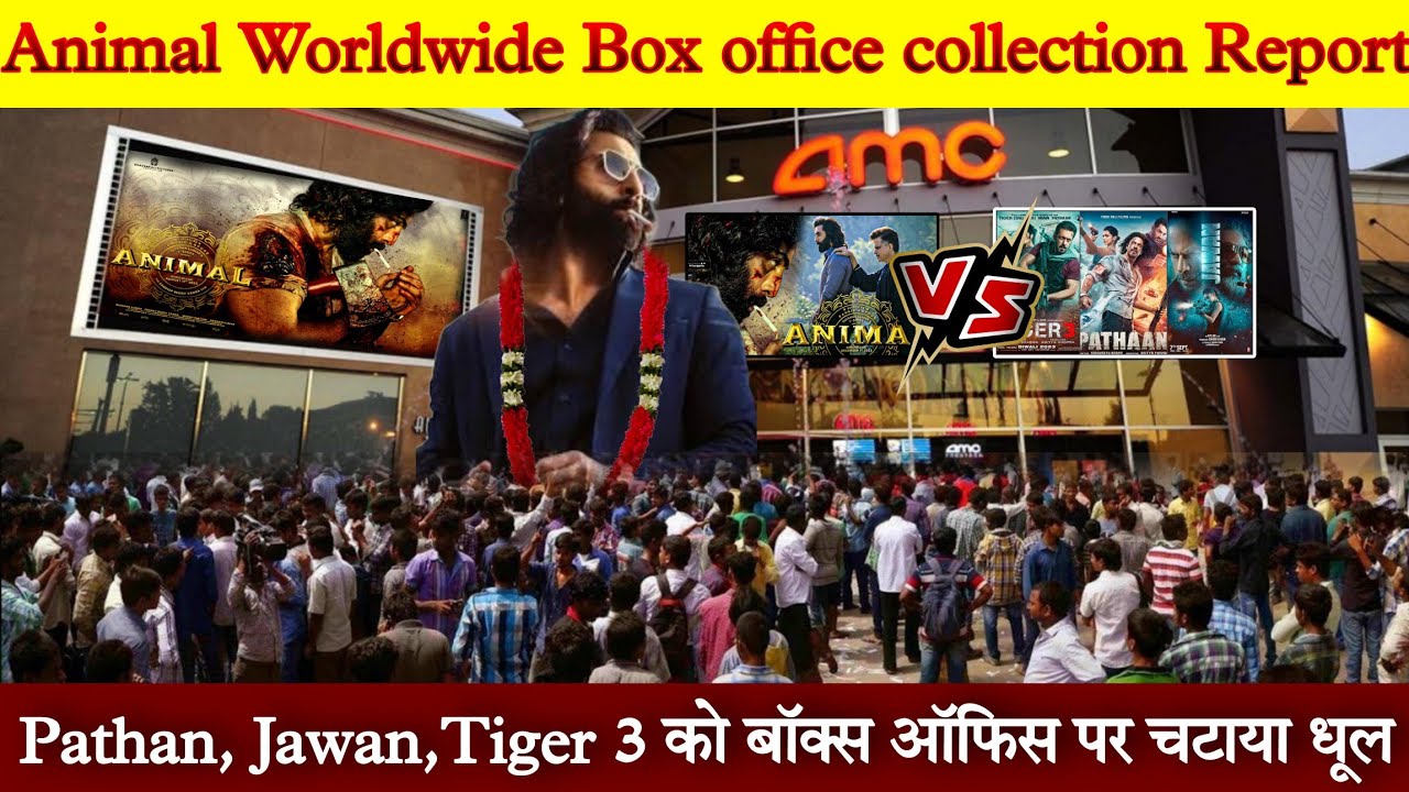 Animal Worldwide Box office collection | #animalboxofficecollection # ...