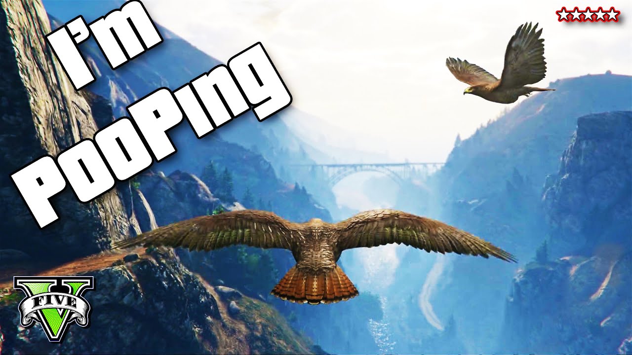GTA 5 Funny Moments POOPING LIKE AN EAGLE | Angry Bird Chasing People ...
