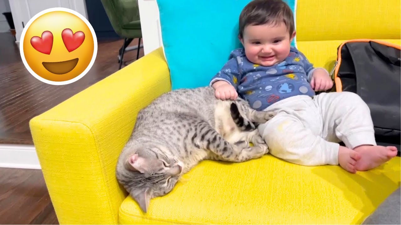 Babies Love Pets! | Adorable Moments of Cute Duo - YouTube