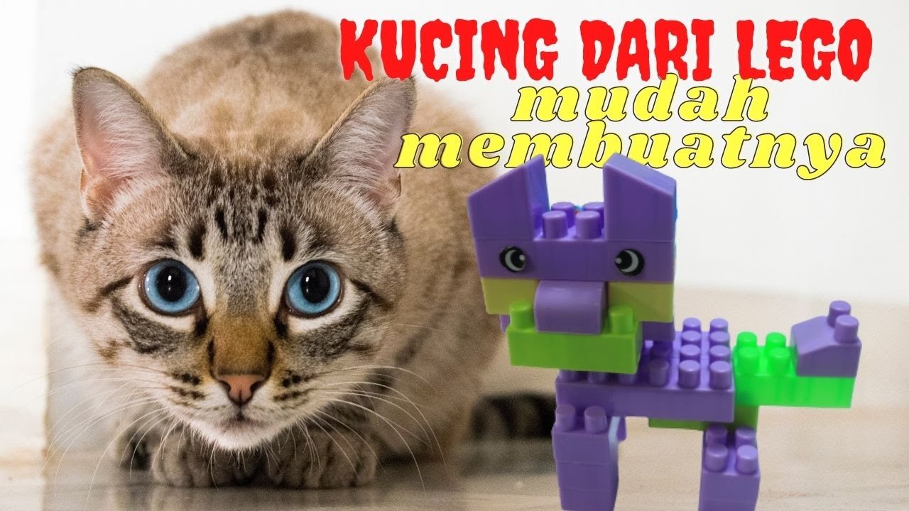 Cara Membuat Mainan Anak Anak Lego lego Hewan Bikin Buat Binatang ...
