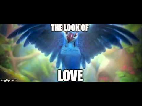 rio memes video 10 - YouTube