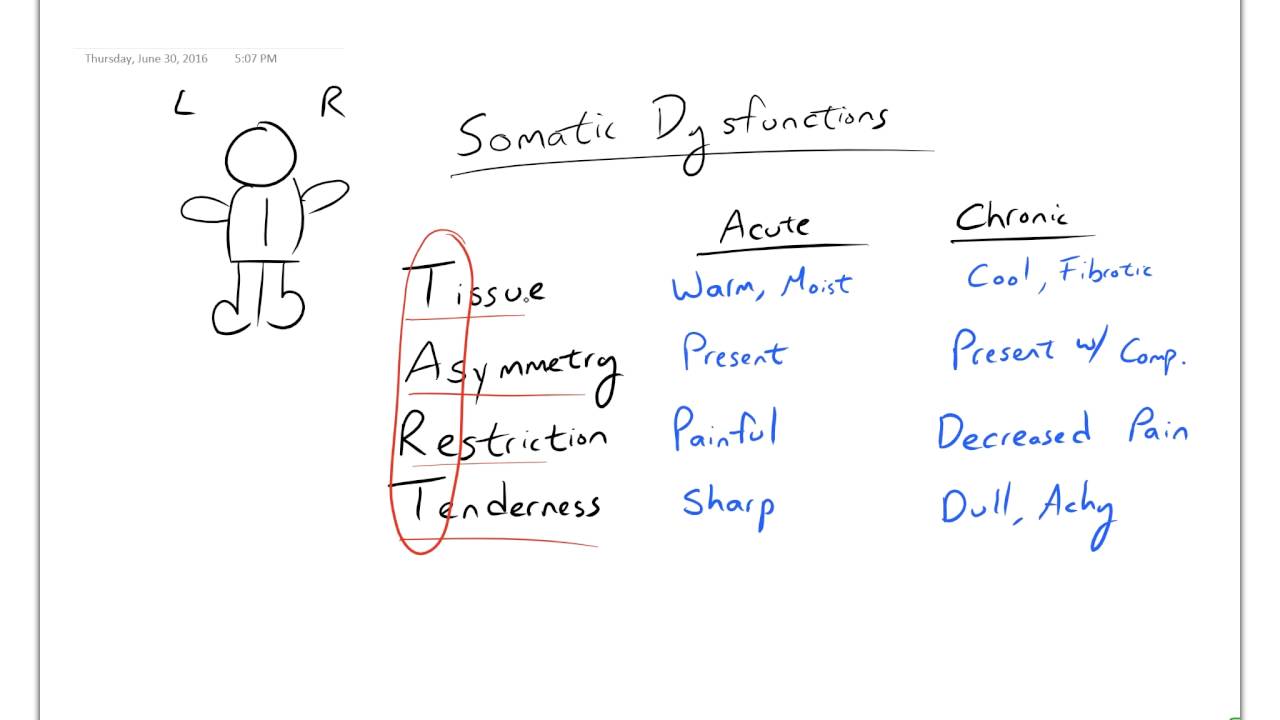 Intro to OMM - Somatic Dysfunctions - YouTube