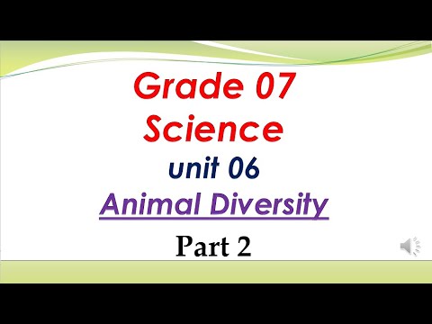 Grade 07 Science Unit 6 Animal Diversity Part 2 - YouTube