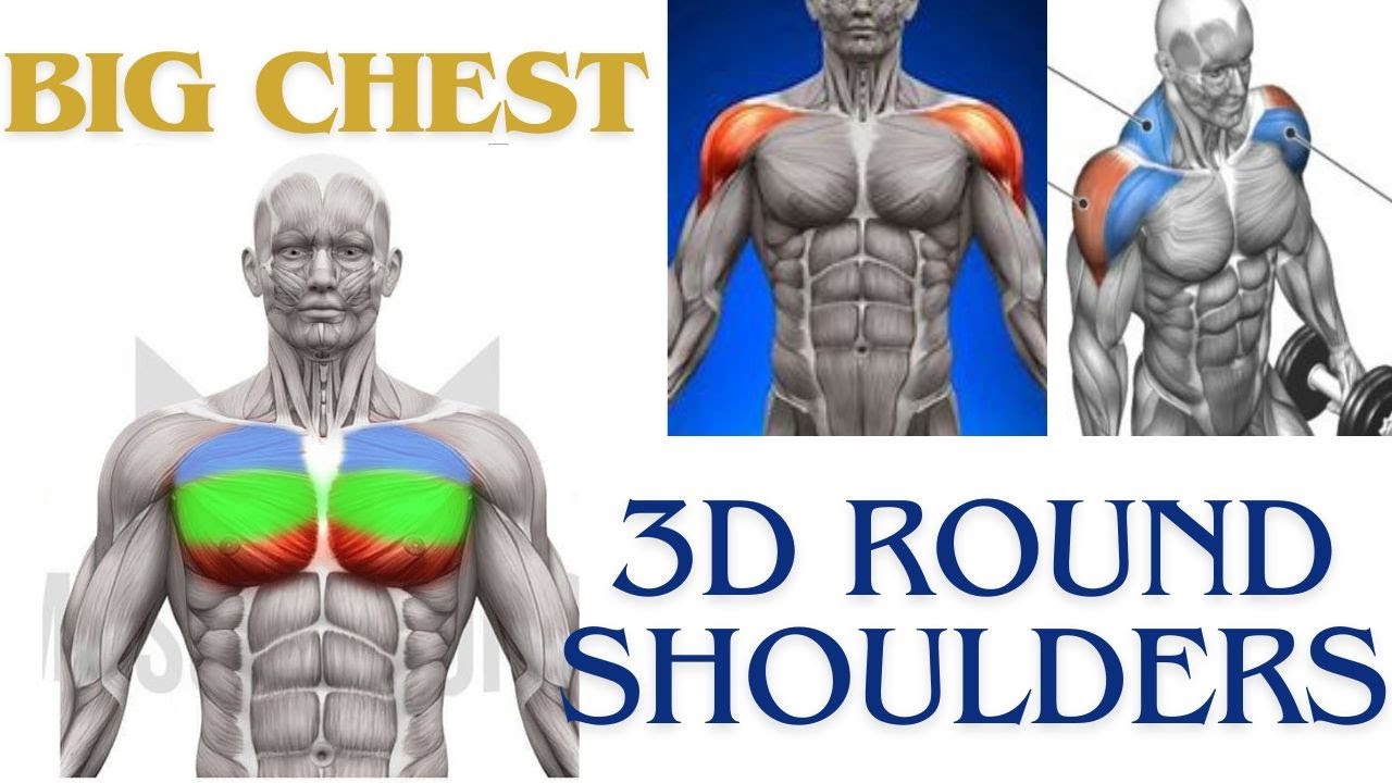CABLE MACHINE CHEST WORKOUT// CHEST + SHOULDER SPLIT TRAINING DAY PART ...