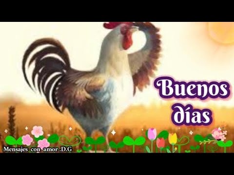 Vídeo corto y bonito para ti🌹Abrelo!.Saludos con imagenes.Feliz y bendecido día🌹Frases bellas.