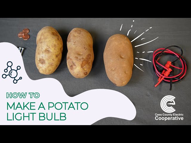 Potato Light Bulb Diagram