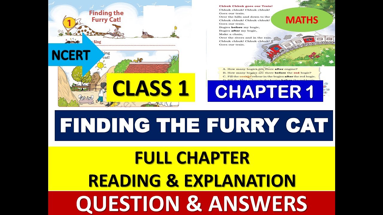 CLASS1|MATHS|CHAPTER1|FINDING THE FURRY CAT|NCERT|CBSC|FULL CHAPTER ...