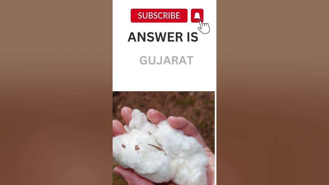 Quiz 64 Largest Cotton Producer In India YouTube quiz-64-largest-cotton-producer-in-india-youtube