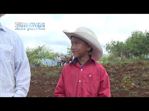 Siembra en Buenavista del Monte