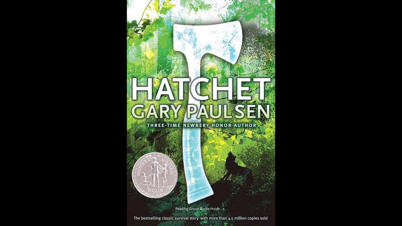 Hatchet Chapter 10 - YouTube