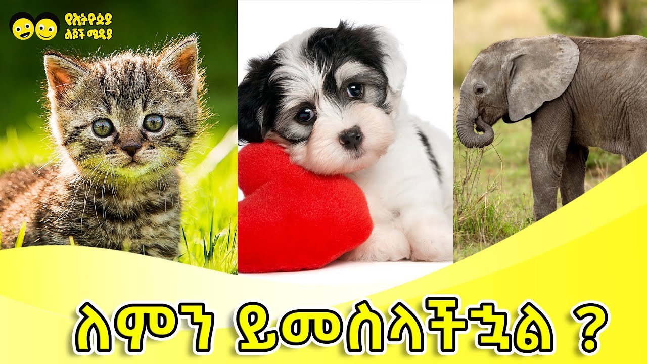 ለምን ይመስላችኋል ? Ye Ethiopia Lijoch TV | አስገራሚ እውነታዎች | Asgerami ...