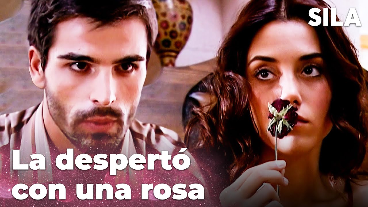 Es la segunda vez que me das esta rosa... 🌹 - Sila | Escenas ...