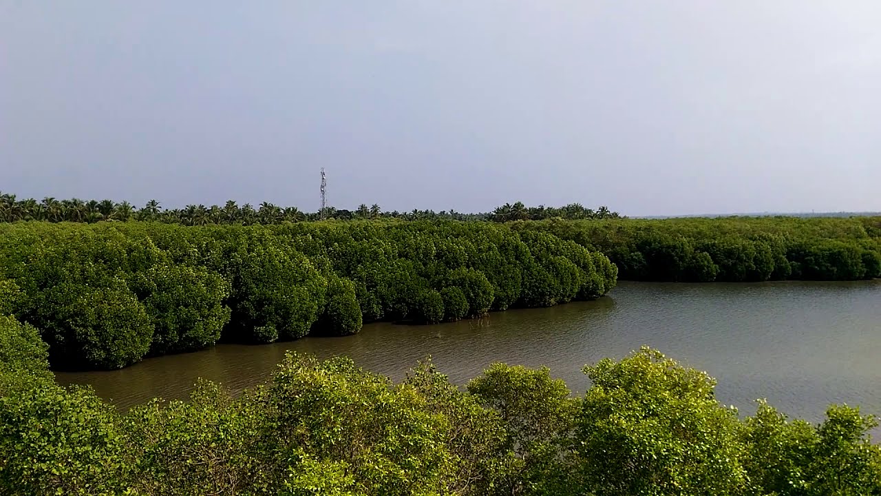 Kannur Tourism - Mattool Bridge - Rivers of Kerala - YouTube