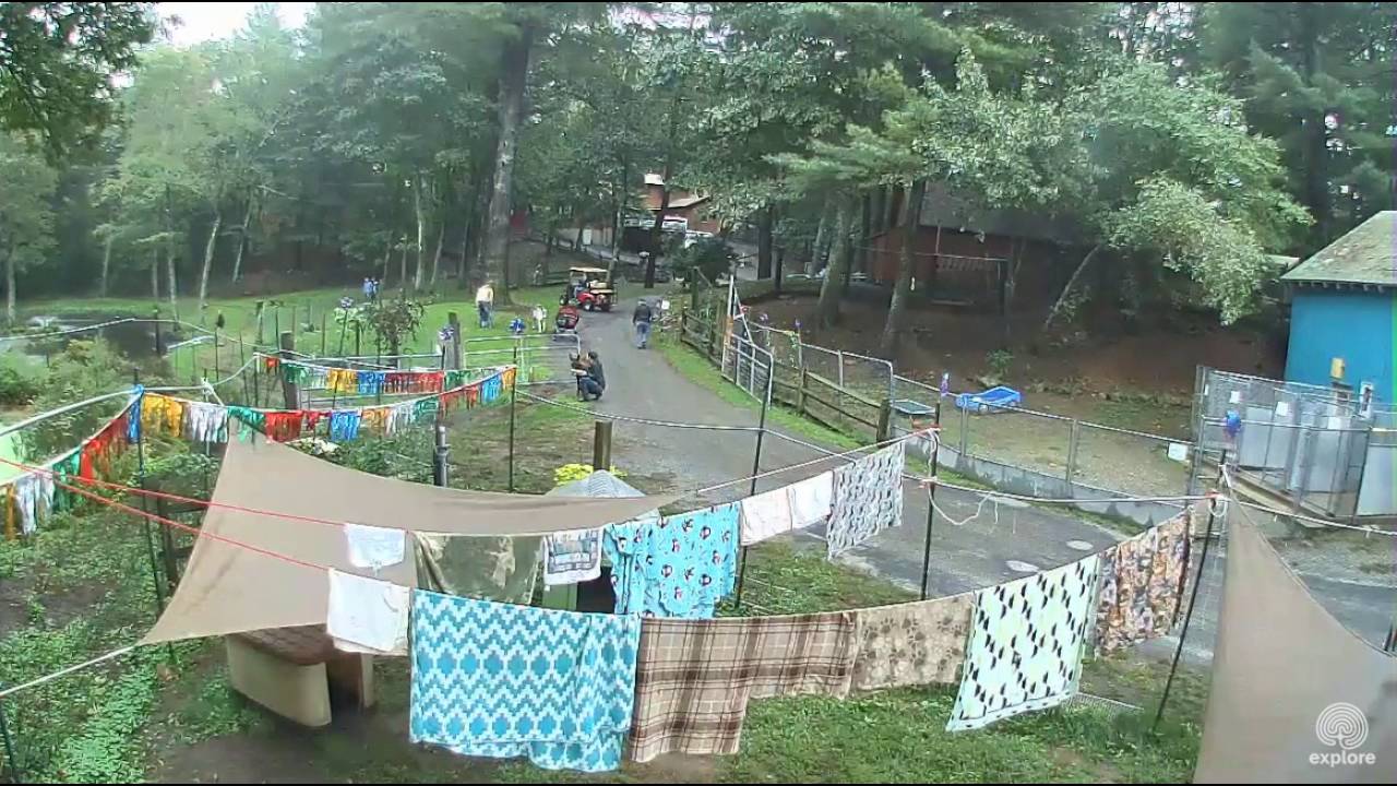 Donkey outing Sunday October 2nd. - YouTube