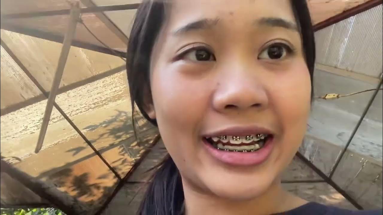 Vlog w dekss - YouTube