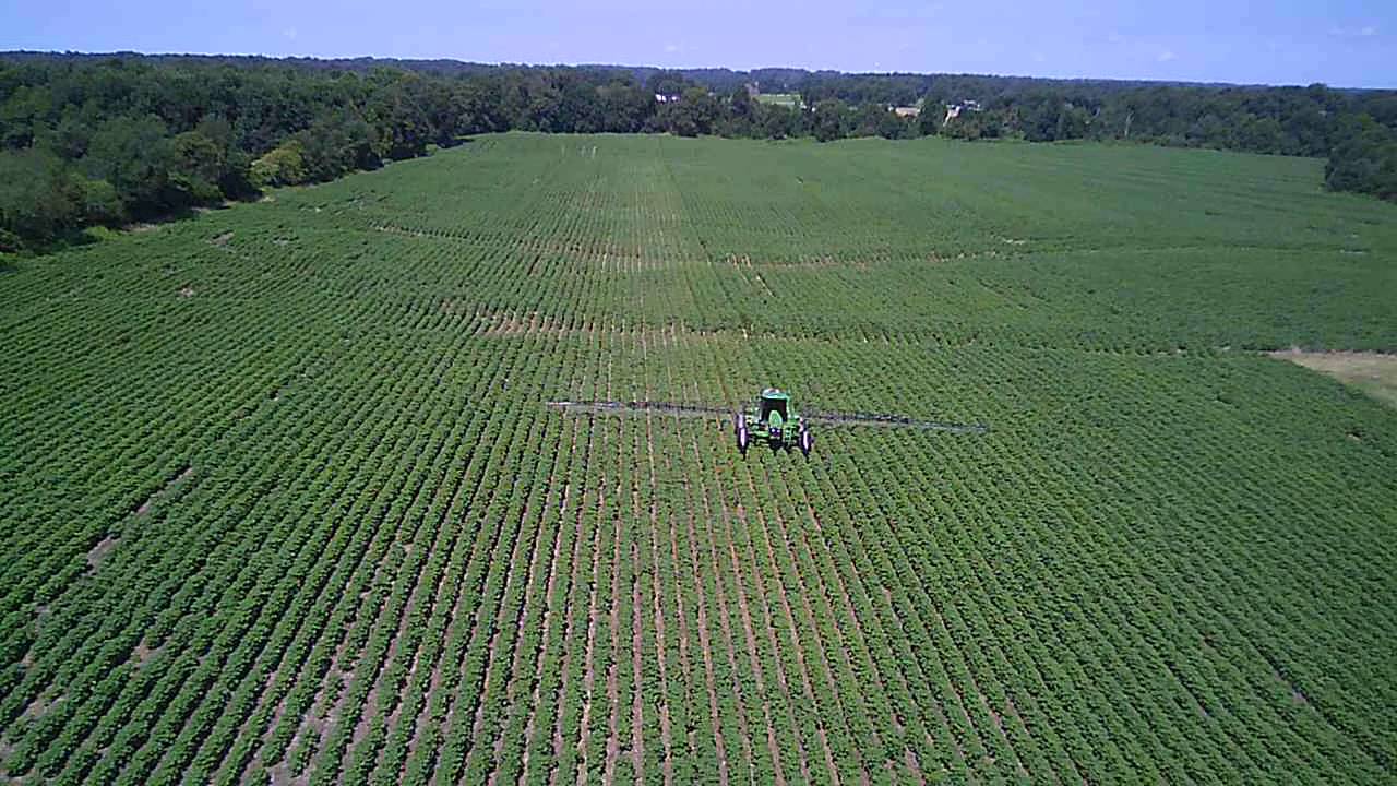 cotton spraying 2 2016 - YouTube