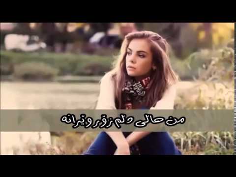 amin habibi by: shagwl dler