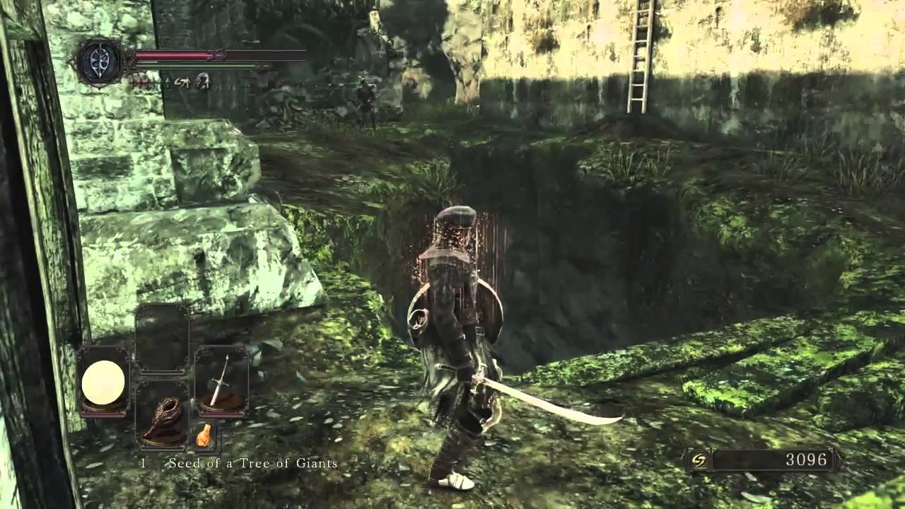 DS2 LP Death 44: Turtle Knight - YouTube