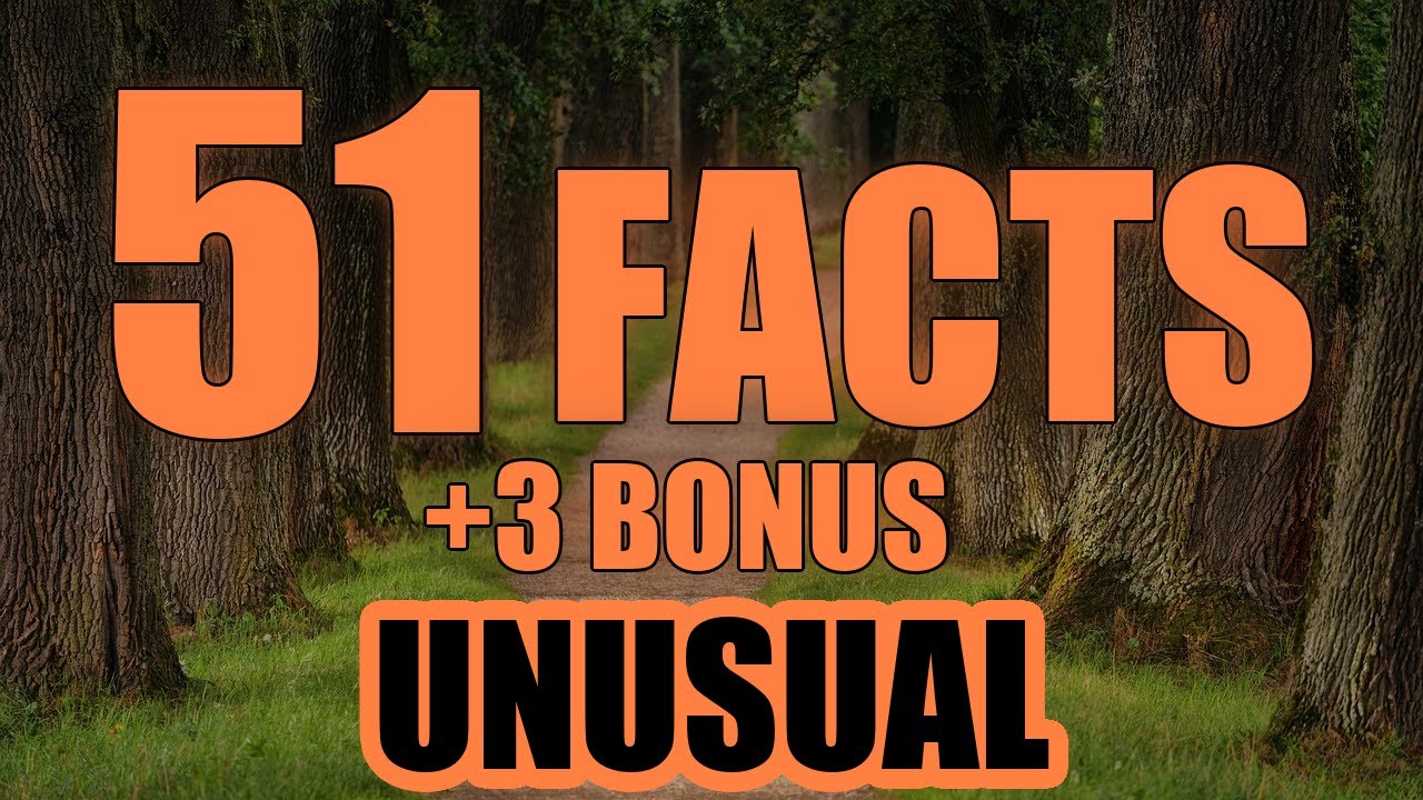 51 Amazing Mind Blowing Facts You didn't know!- (+3 Bonus Facts) - YouTube