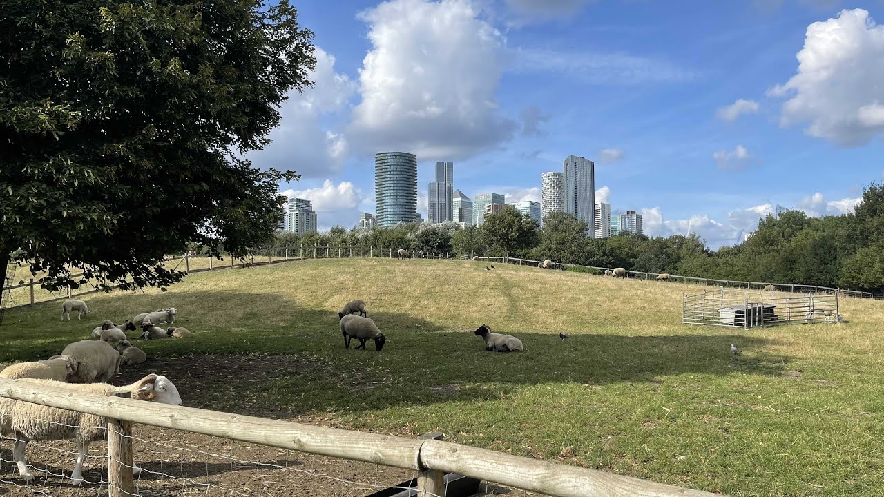 Day out to Mudchute farm. - YouTube