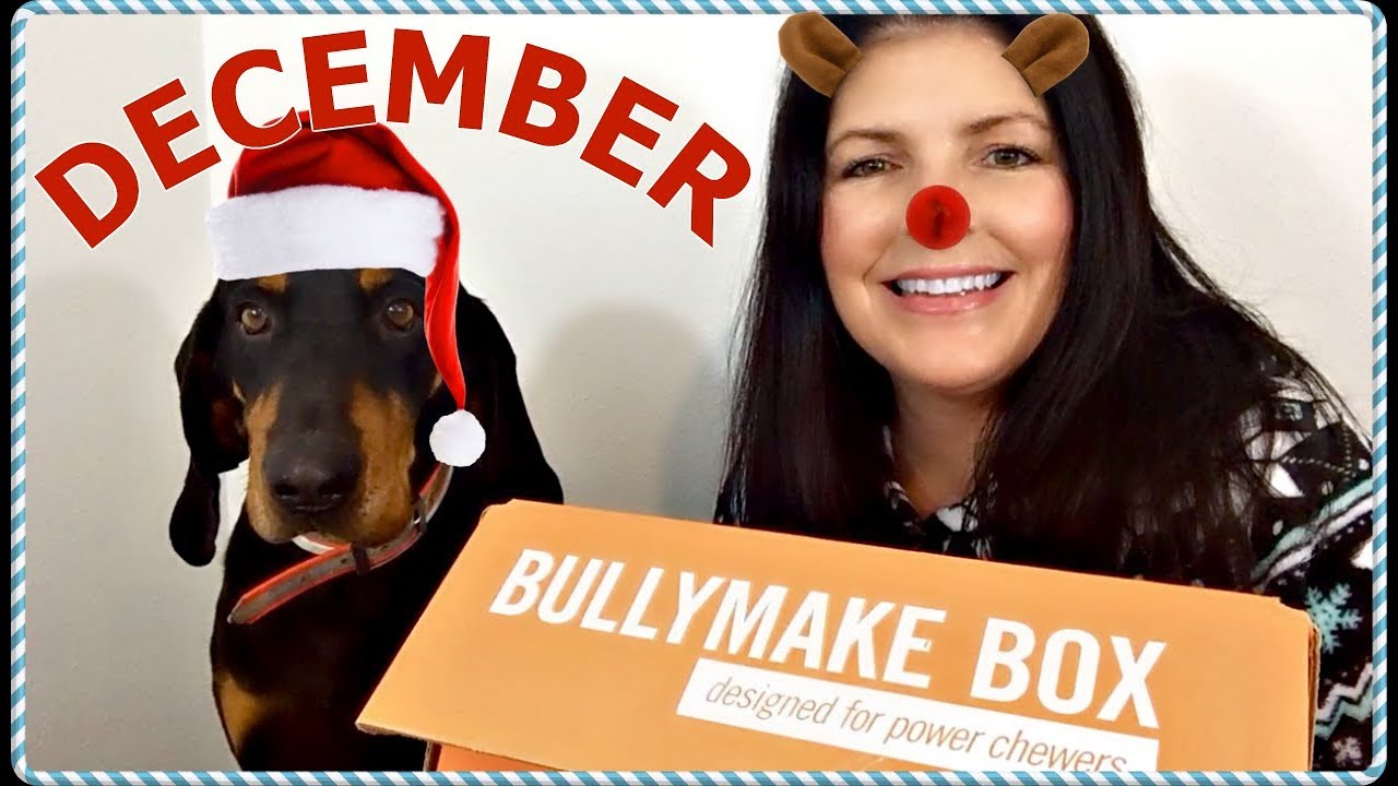 Bullymake Box December Unboxing - YouTube