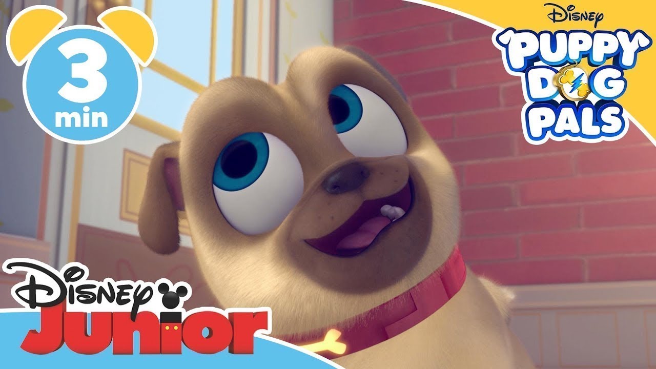 Puppy Dog Pals Español - Puppy Dog Pals Español Capitulo #10 - YouTube