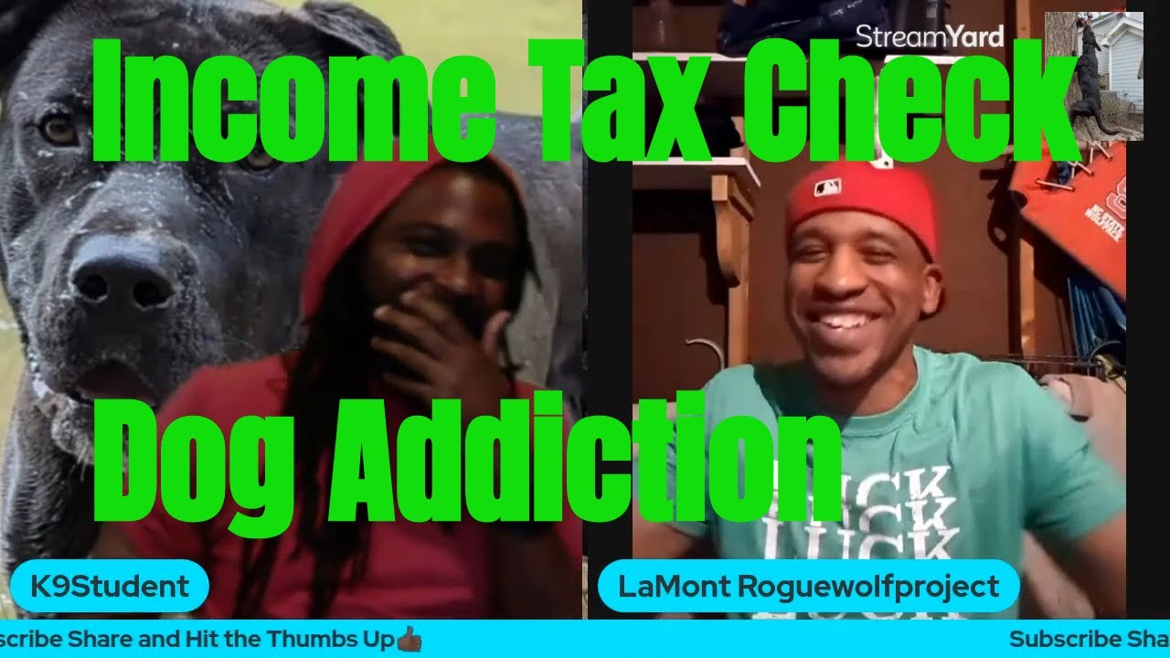 Dealing with Dog Addiction Using Income Tax 💰😱😂 - YouTube