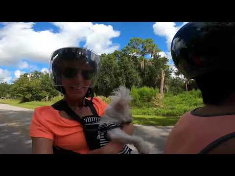 Casper's Motorcycle Ride Today - YouTube