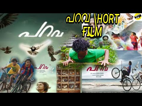 parava short film 2021|MALAYALAM' Short Film|(short film)parava part-1short|#Malayalam |#short film|