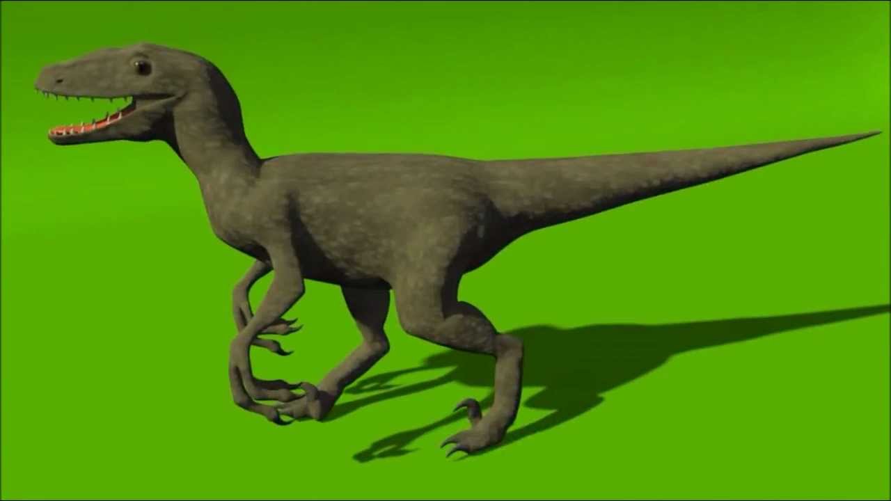 Velociraptor Walk Cycle - YouTube