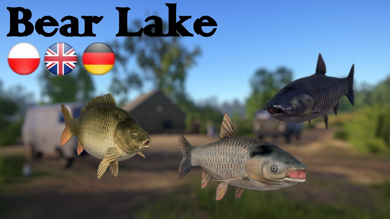 Russian Fishing 4 CARP | Bear Lake | RF4 SPOT #35 - YouTube