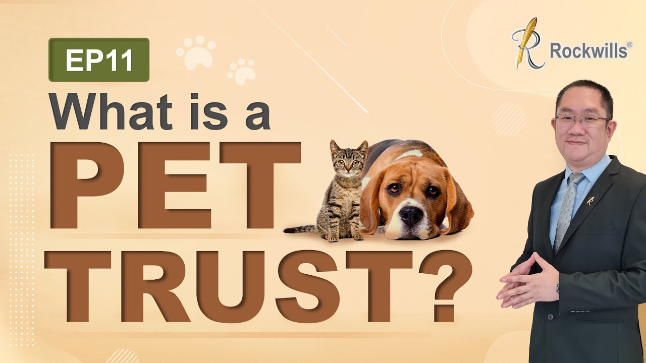 Rockwills Channel EP11 : What is a Pet Trust? - YouTube