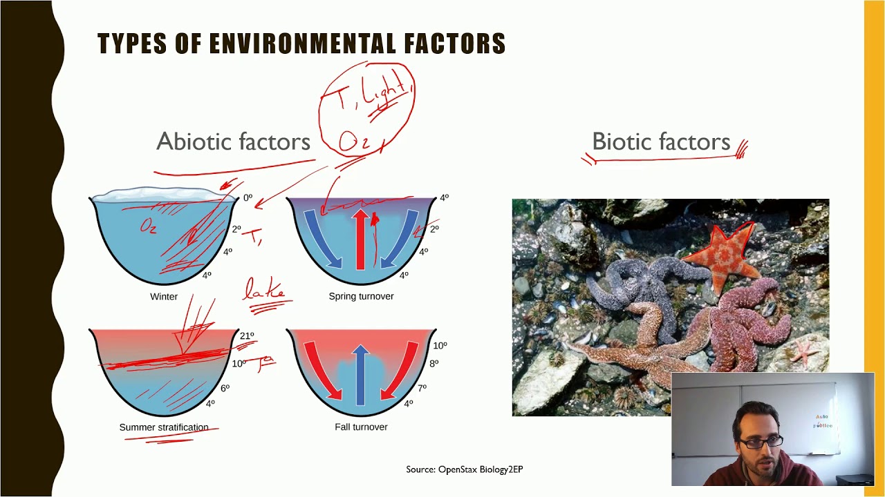 Ecosystems 2: abiotic factors, tolerance ranges - YouTube