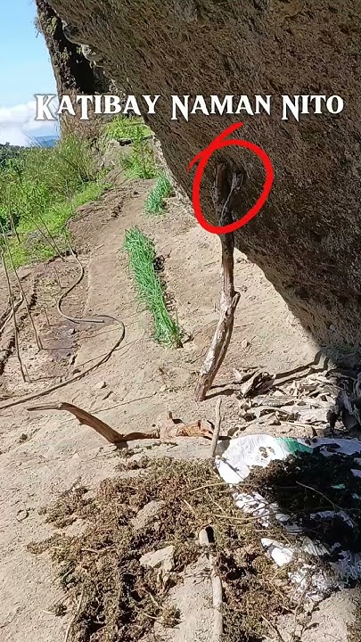 Kakaibang Nilalang to - YouTube