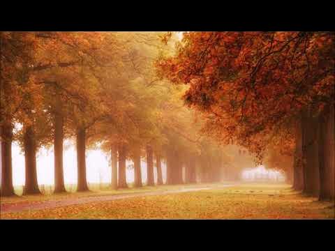 Sois sans alarmes, sans frayeur (Dieu prendra soin de toi) - YouTube