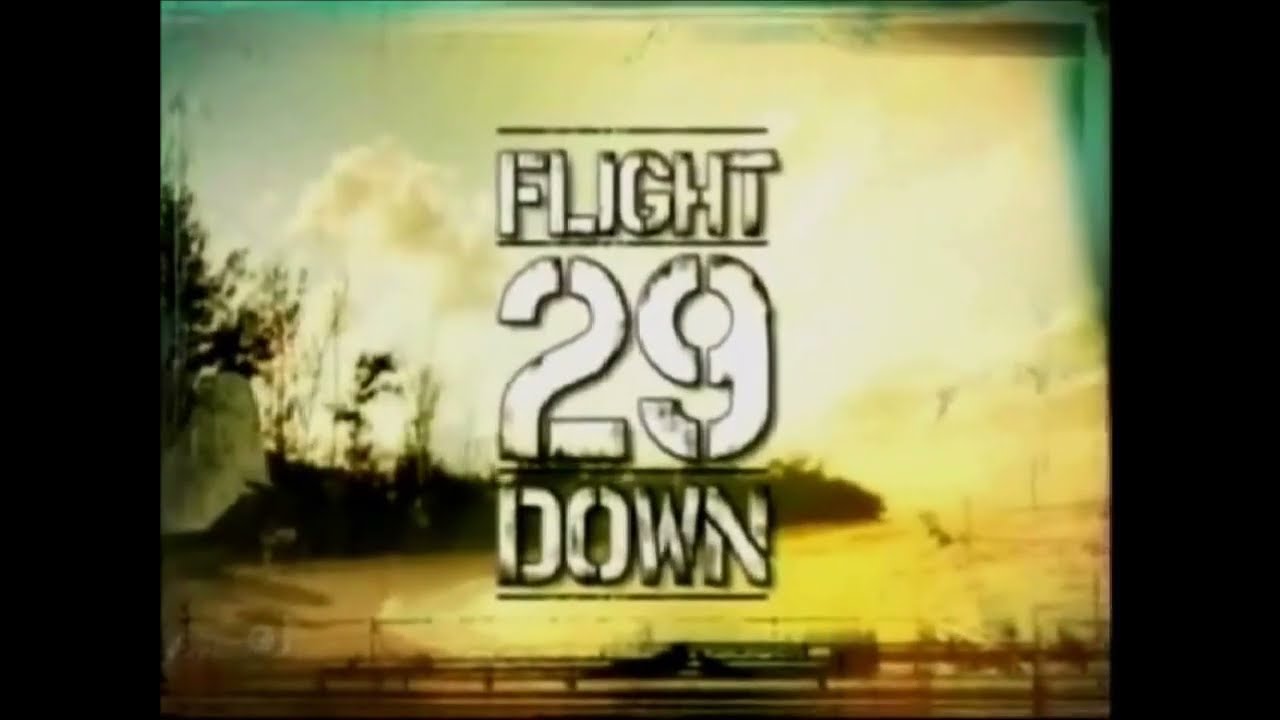 Flight 29 Down Book
