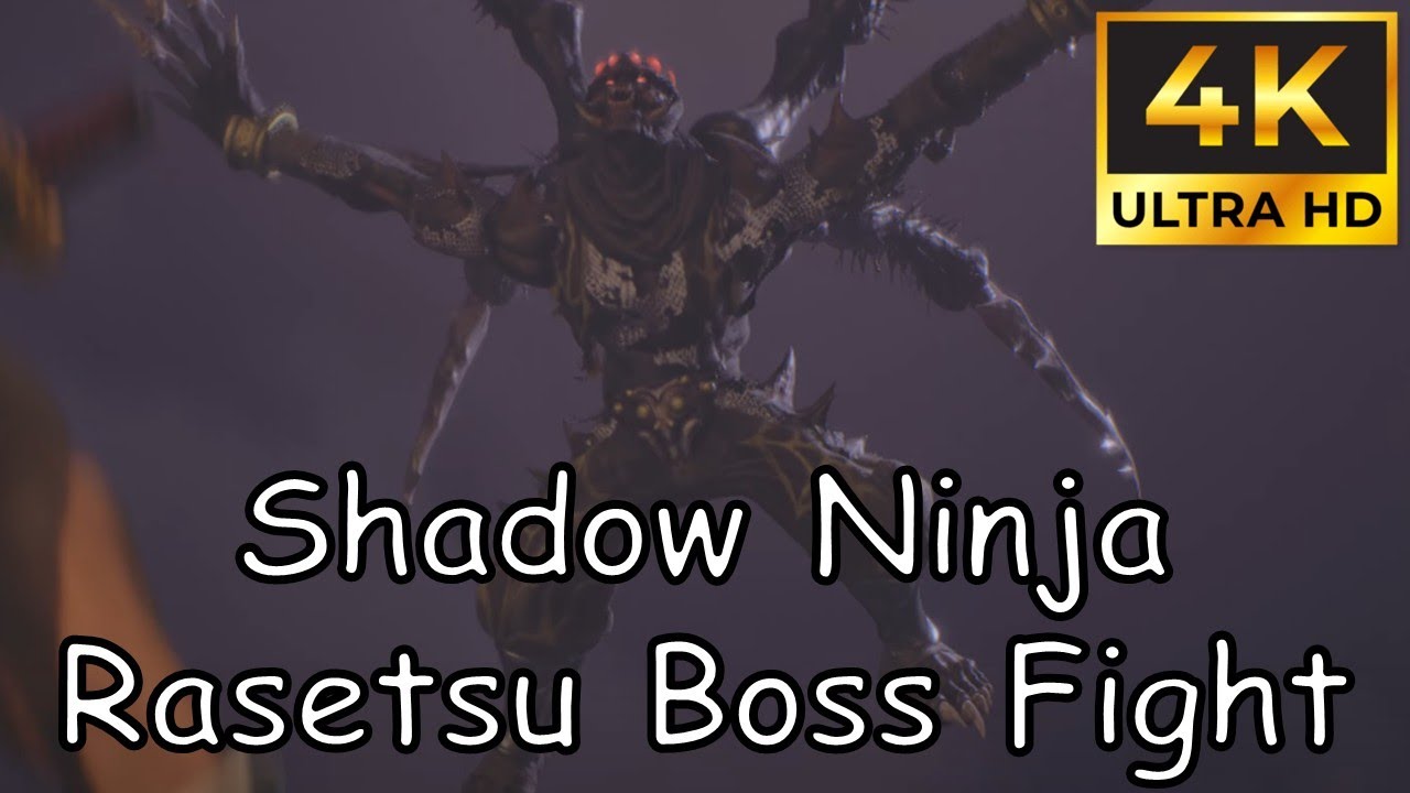 Shadow Ninja Rasetsu Boss Fight (NINJA GAIDEN 2 Black) - YouTube