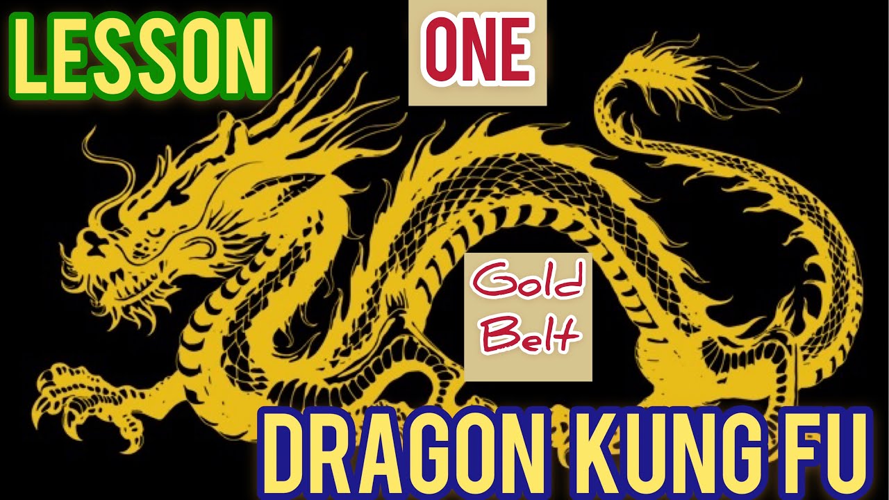 dragon kung fu for beginners with unique way / full body workout while ...