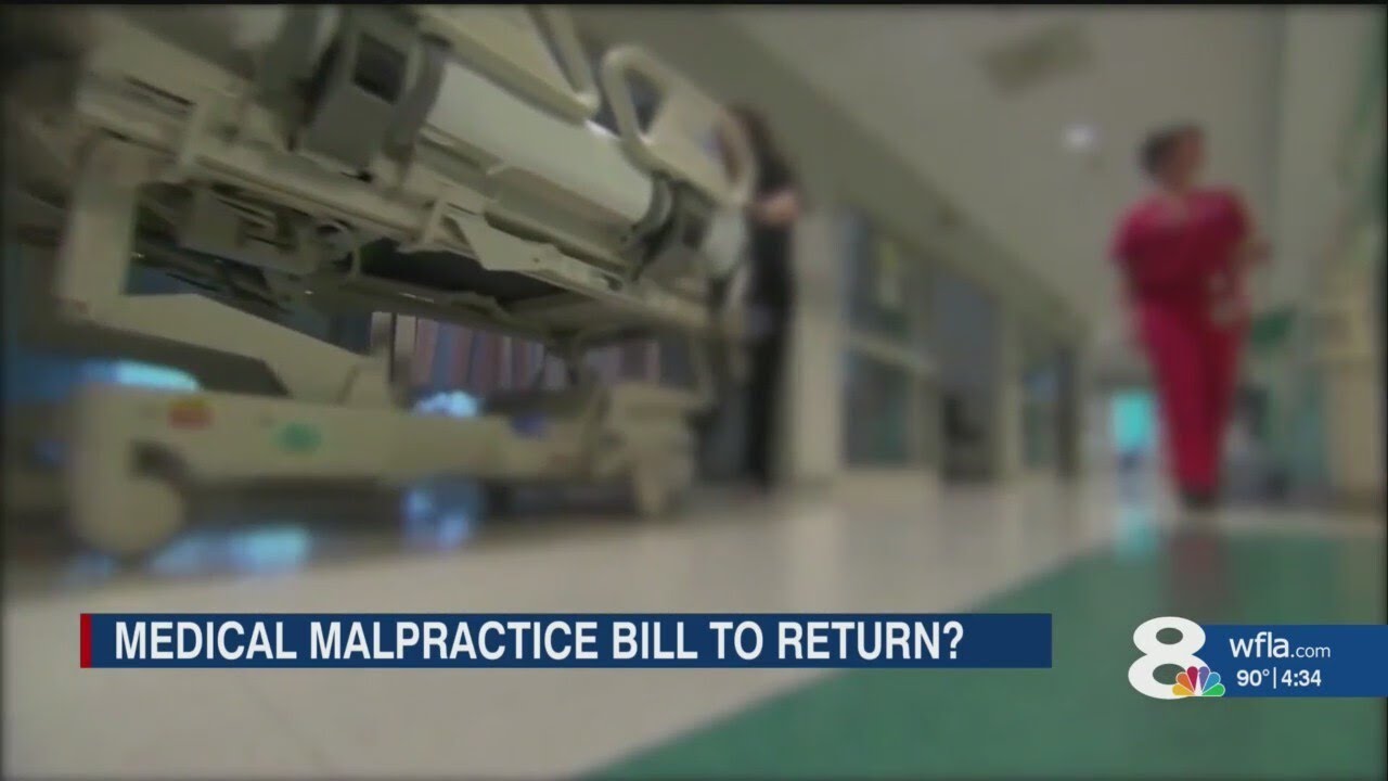 DeSantis vetoes 'free kill' bill; lawmakers aim to revive it - YouTube