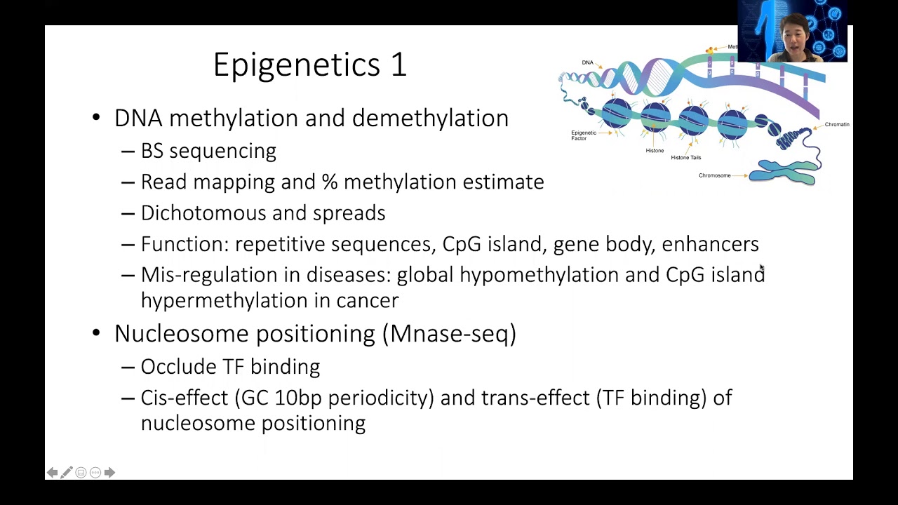 Stat115 Chapter 161 Module Ii Review Youtube 0529