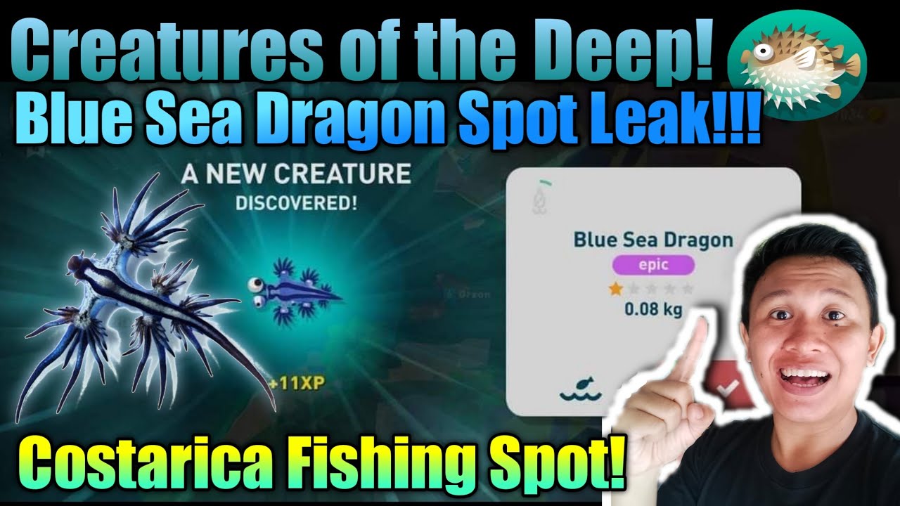 Blue Sea Dragon Creatures of the Deep Location Finally Revealed Glaucus ...