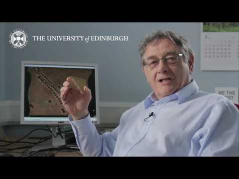 Ron Pethig: Manipulating cells - YouTube