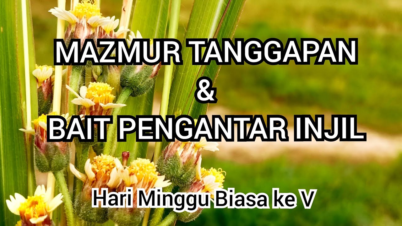 Mazmur Tanggapan And Bait Pengantar Injil Hari Minggu Biasa Ke V Youtube